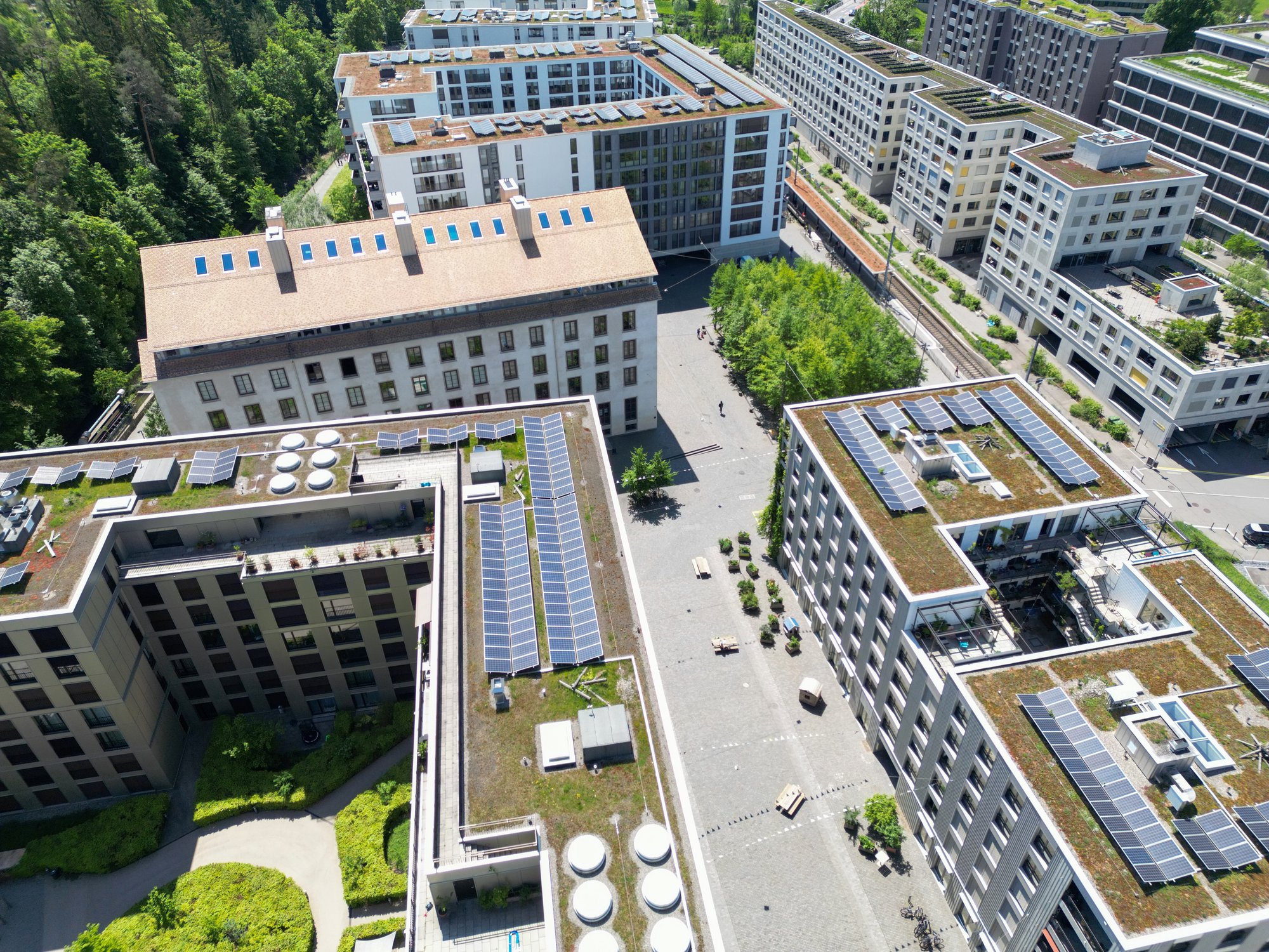 Greencity Zürich: Entwässerung nach Schwammstadt-Prinzip