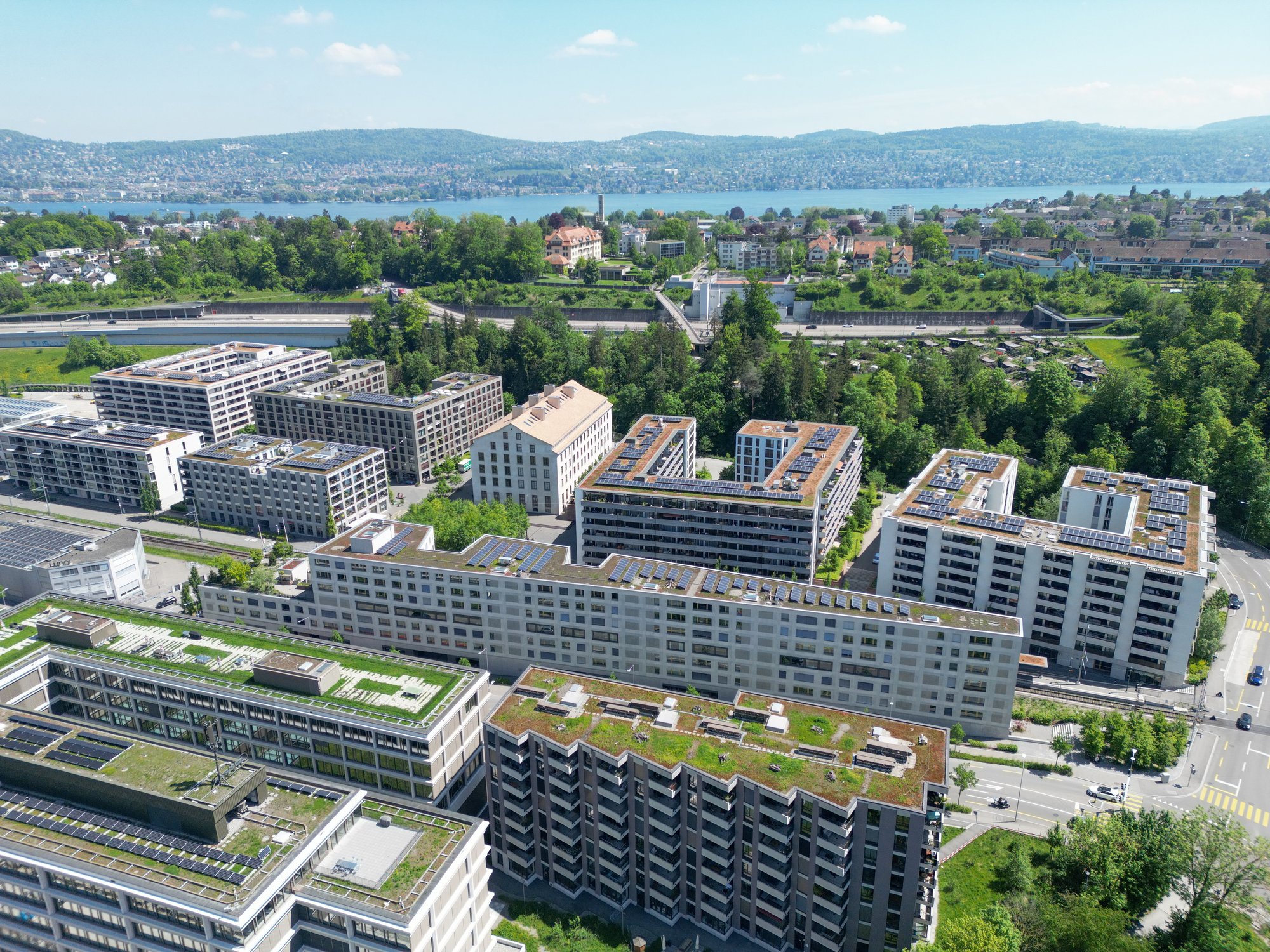 Areal Greencity Zürich : suivi environnemental de réalisation