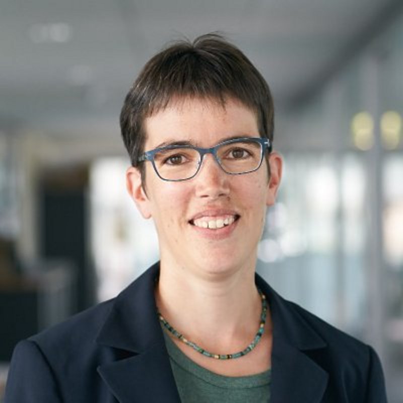 Entwässerung Areal Zollstrasse Zürich nach Schwammstadt-Prinzip