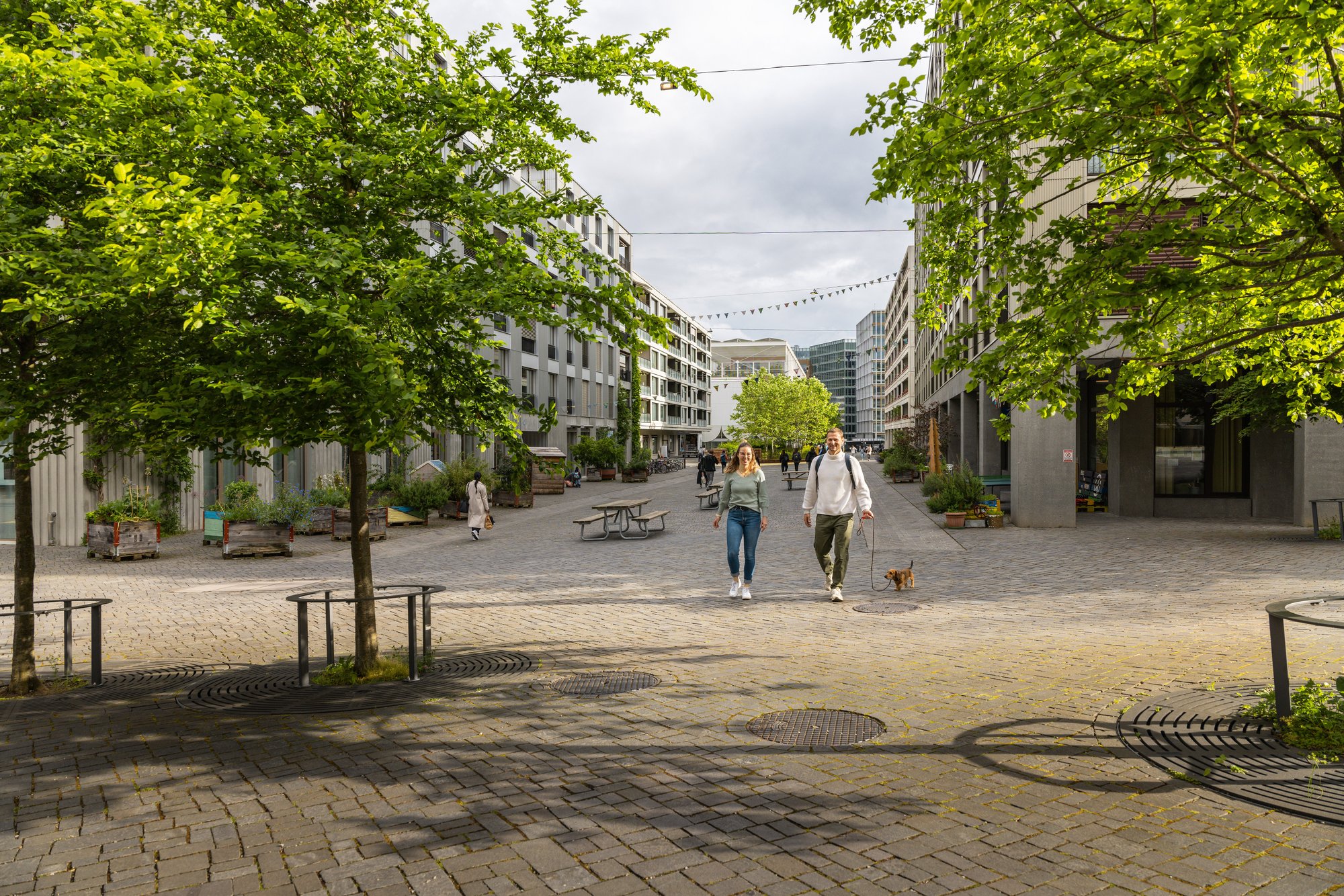 Immobilien und Areale | Ästhetisch, wirtschaftlich und ökologisch