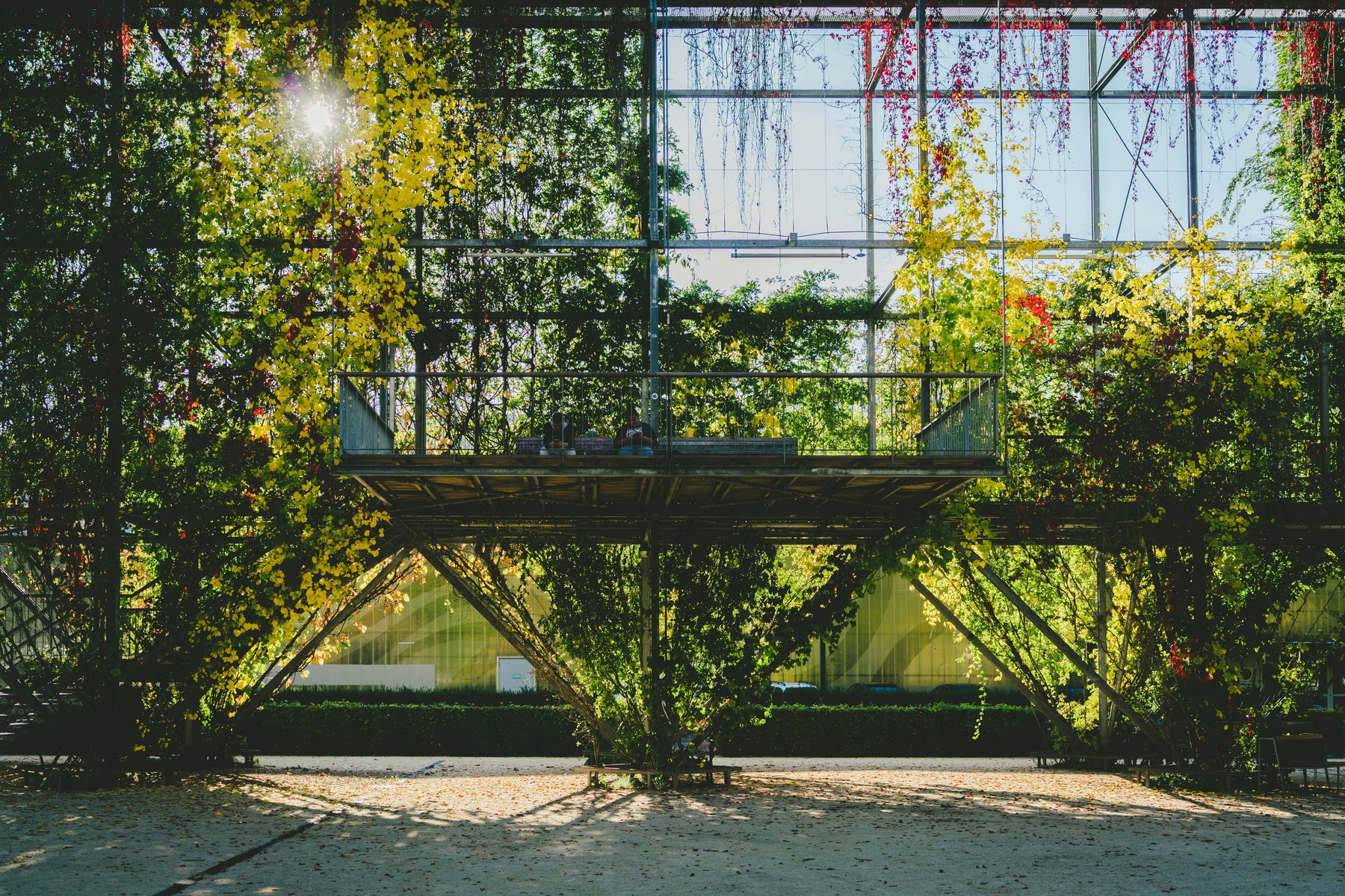 MFO Park Zurich Oerlikon: Steel structure greening