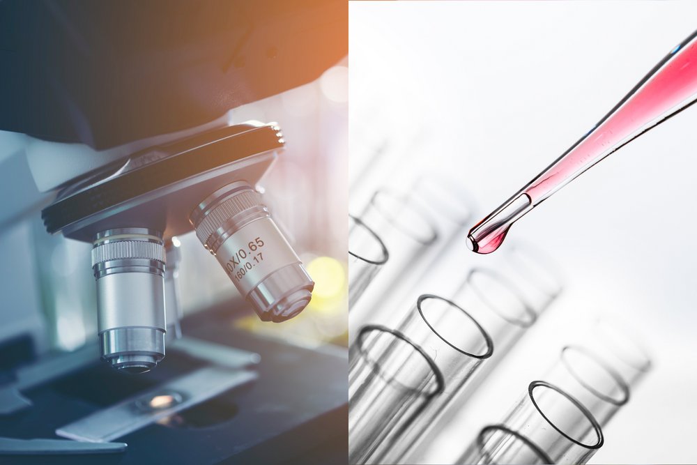 Biosafety consulting for a new BSL2-BSL4 laboratory complex in India