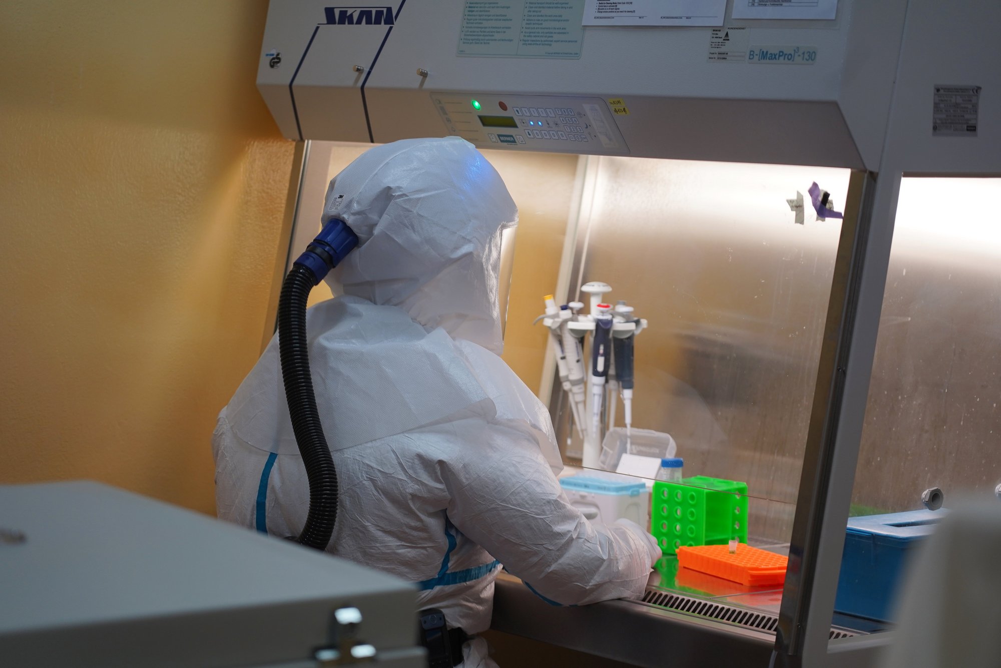 Consultancy on Biosafety and Project Management for the Institute of ...